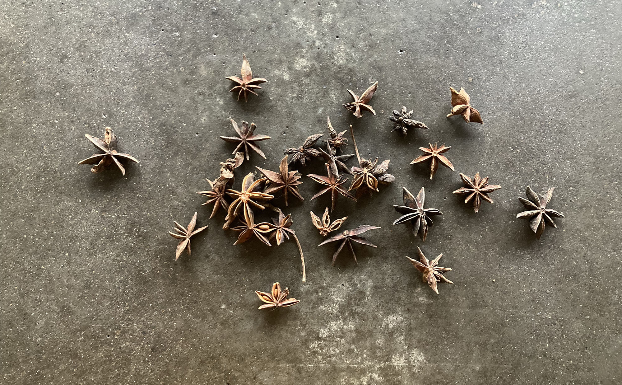 Indian Chai Party - The Pantry