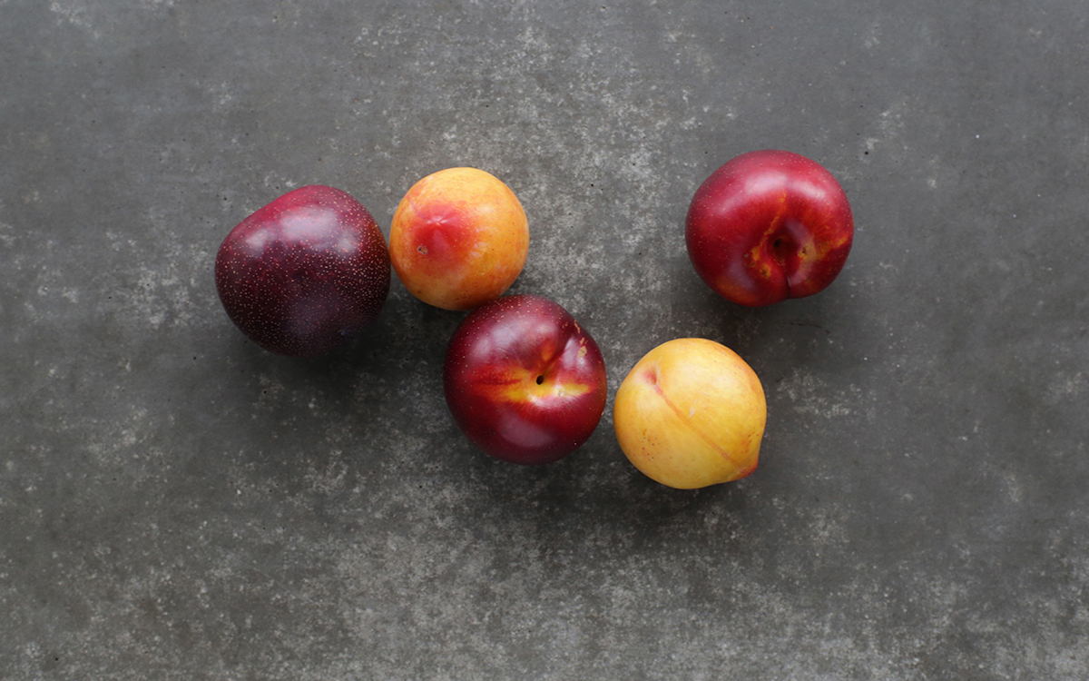 The Viennese Cafe - The Pantry