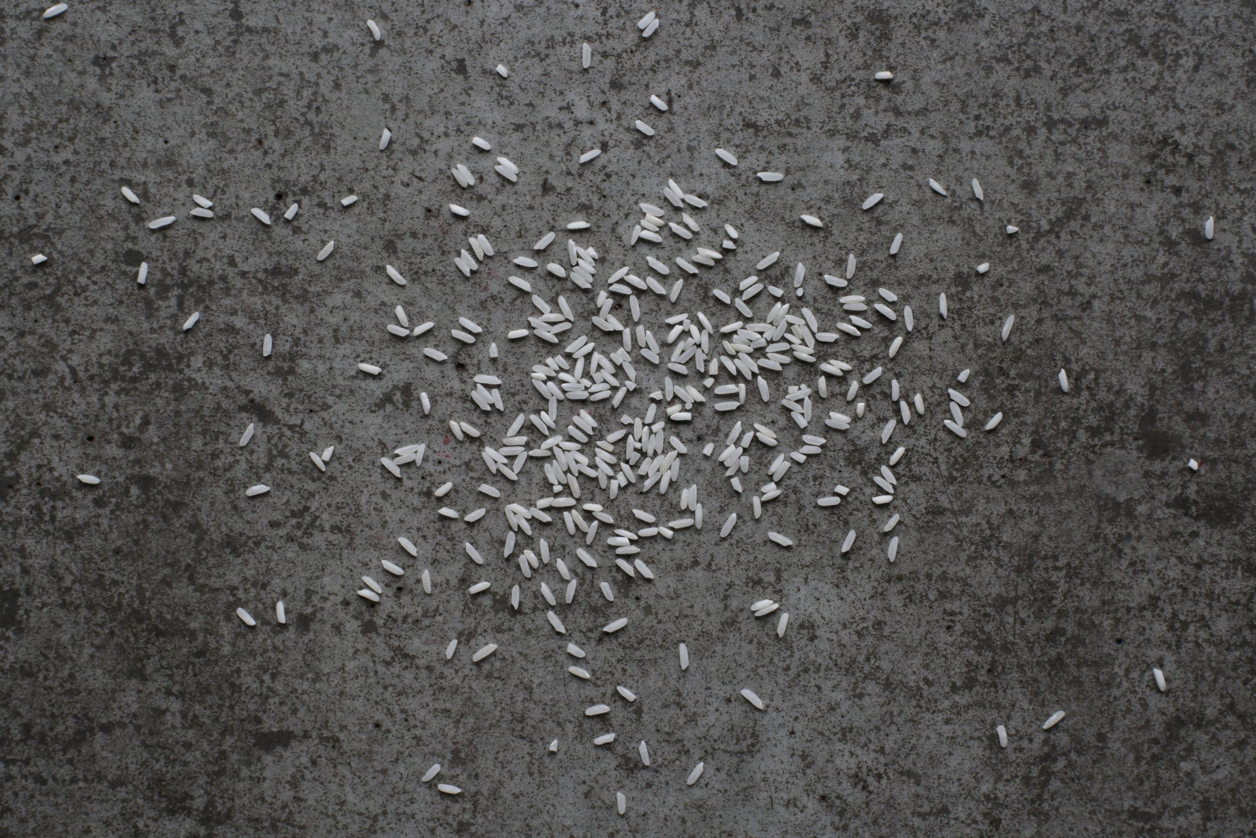 Marie Rutherford - The Pantry